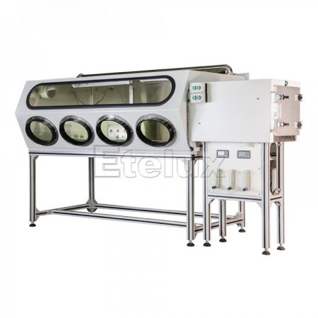 Oval Port Glove Box Double Station Glove Box with Square Antechamber ...